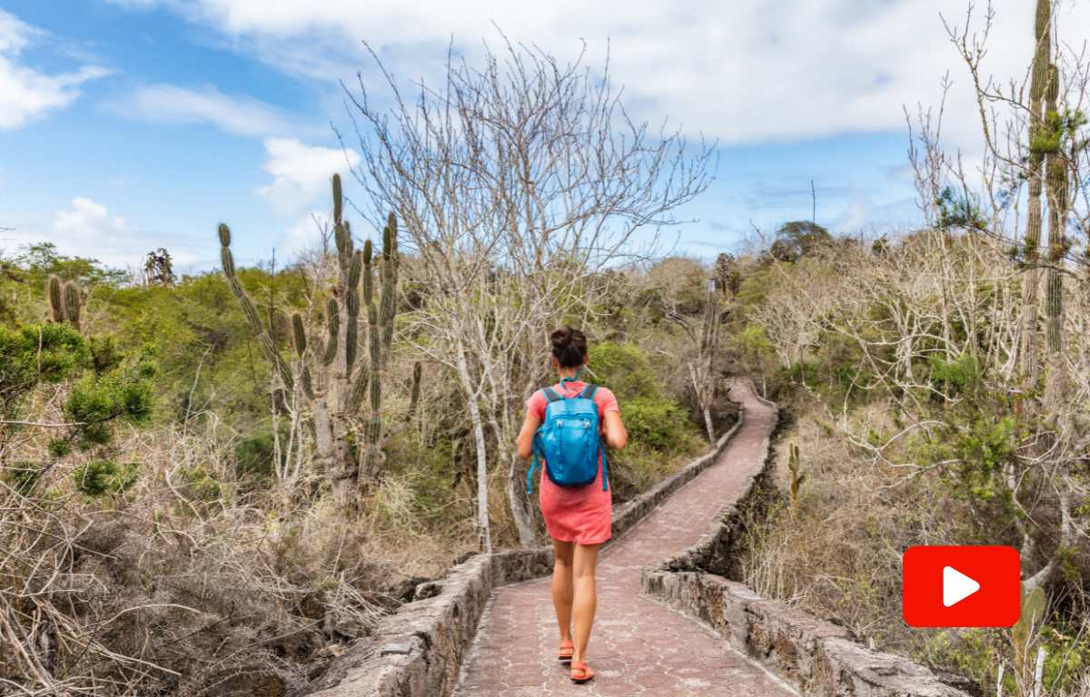 600 Best Travel and Tourism YouTube Channel Name Ideas